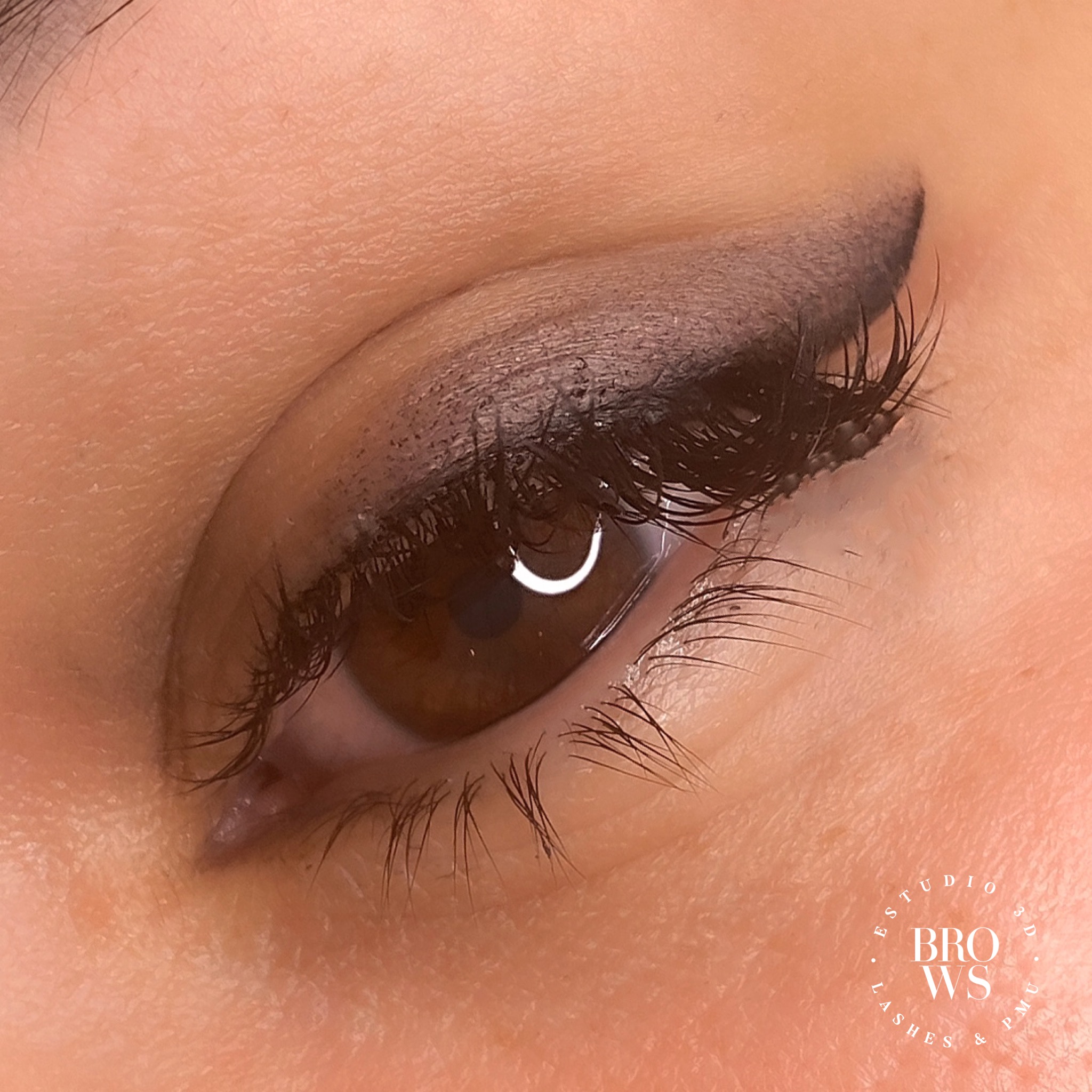 3D Line – Studio 3D Brows